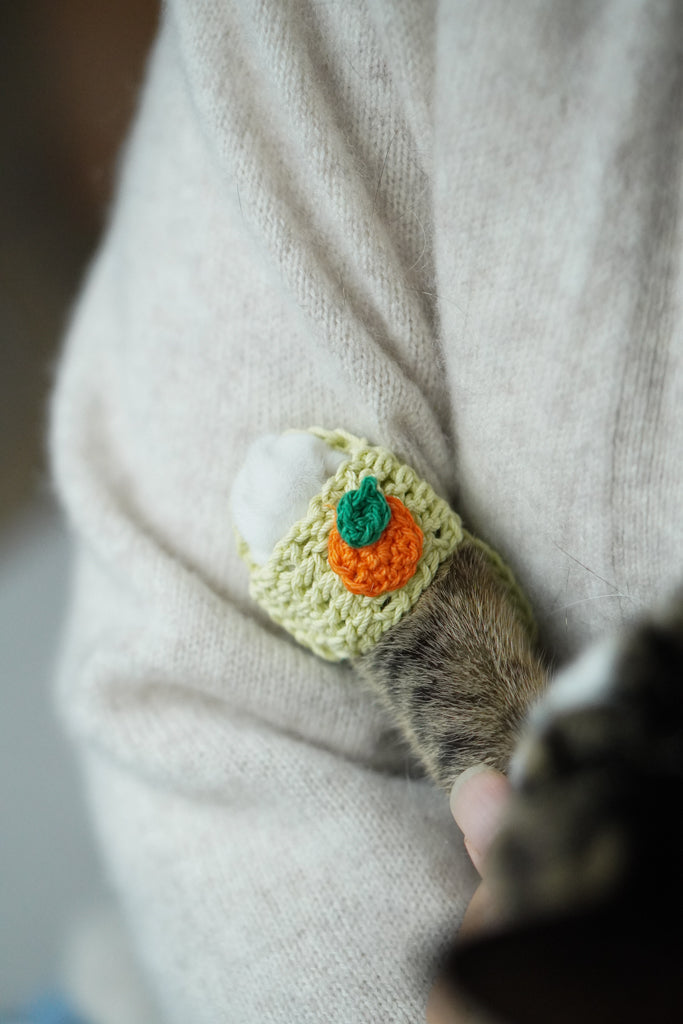 Lime Magic Flying Slippers – Ocatnip