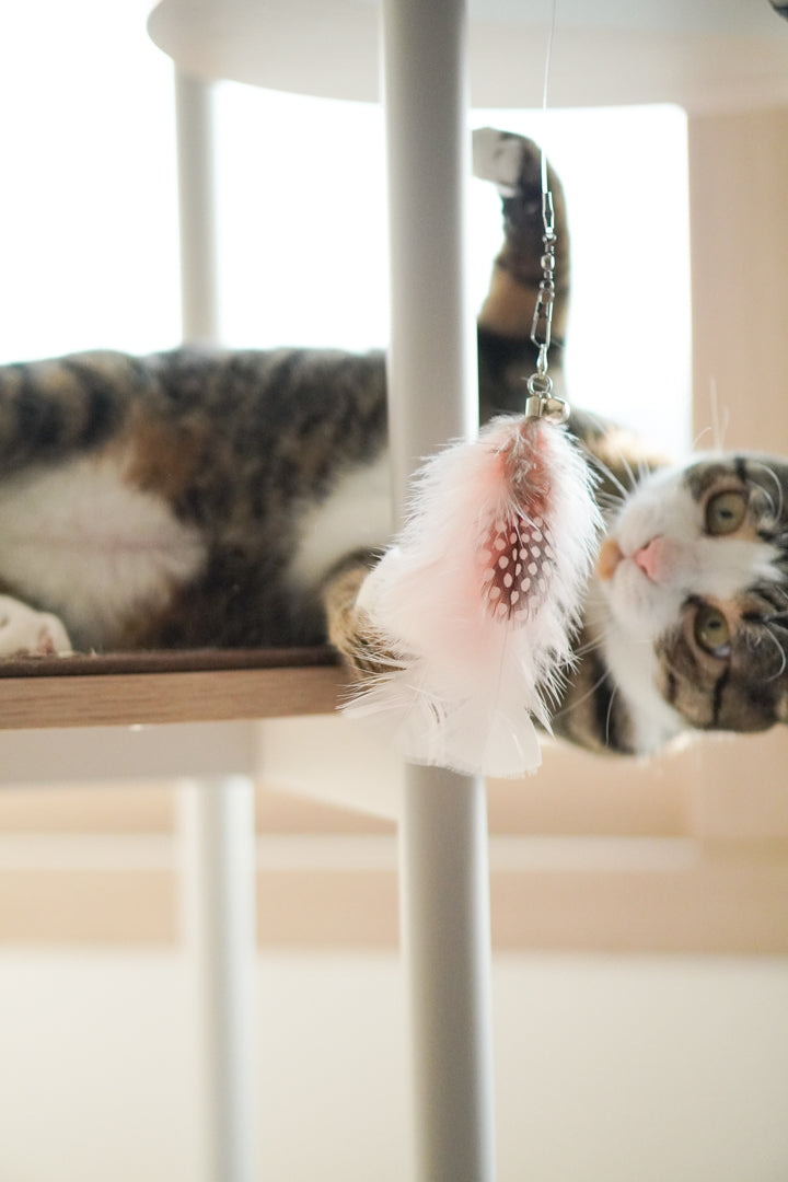Tickle Pickle Feather Teaser – Ocatnip